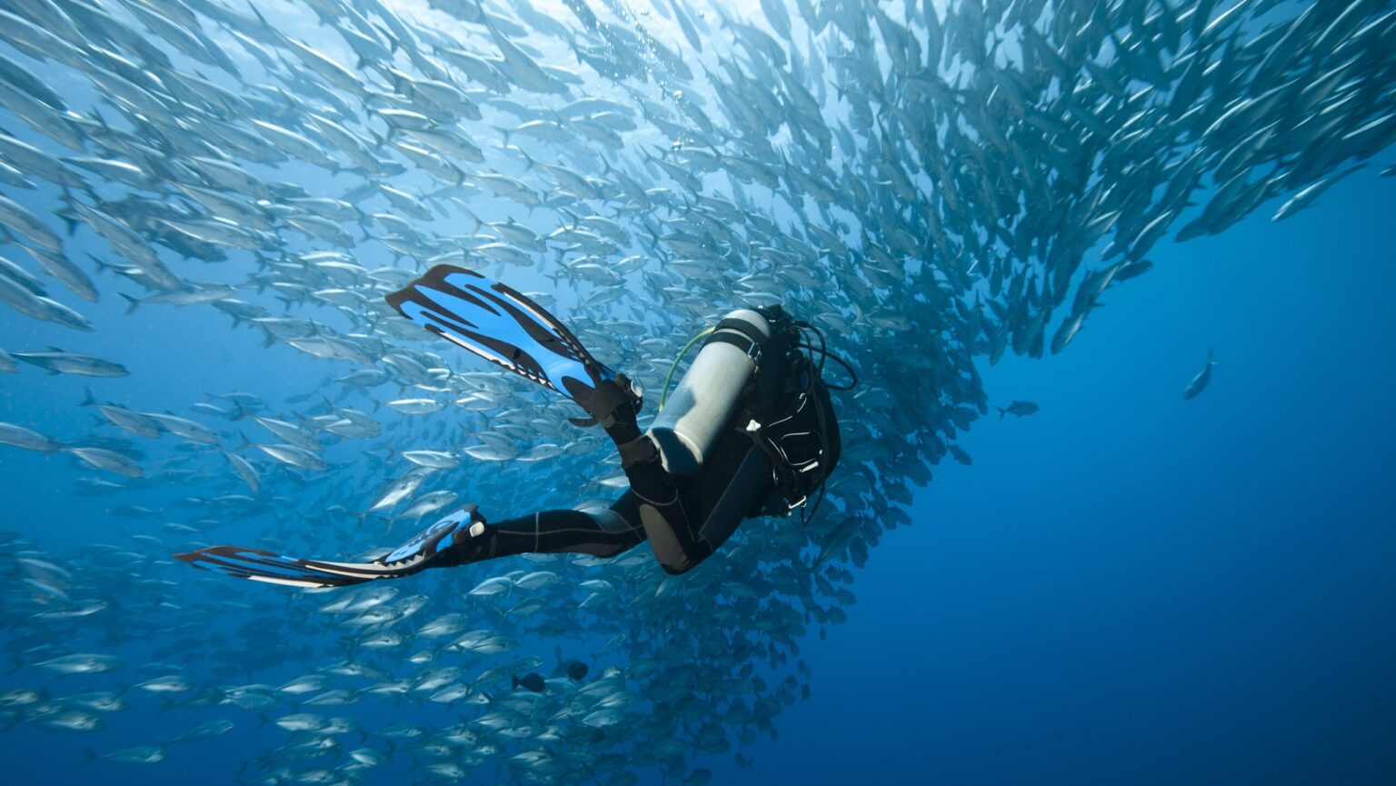 Marmarela Beach Club Alicante | Alicante Fiesta