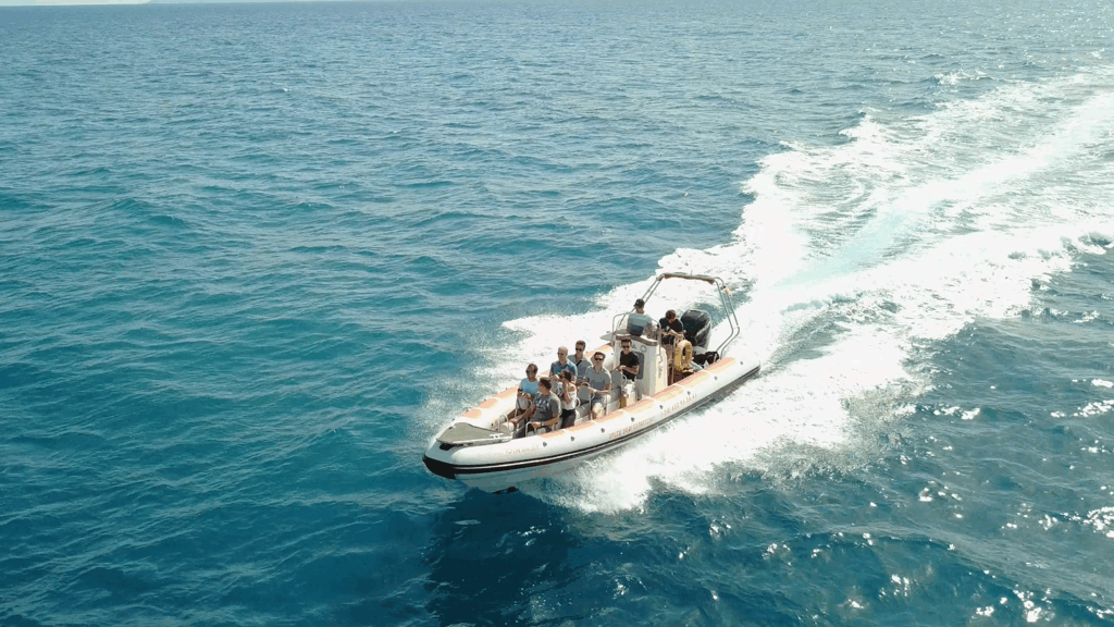 Tabarca Boat Tour | Alicante Fiesta